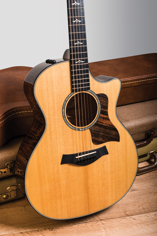 Taylor 614ce Review (2021)