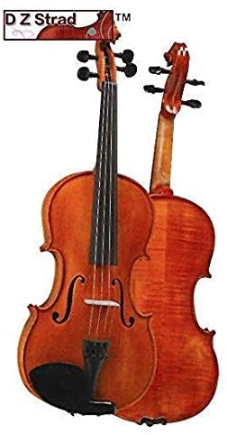 5 Best Cellos for Beginners in 2026(reviews)